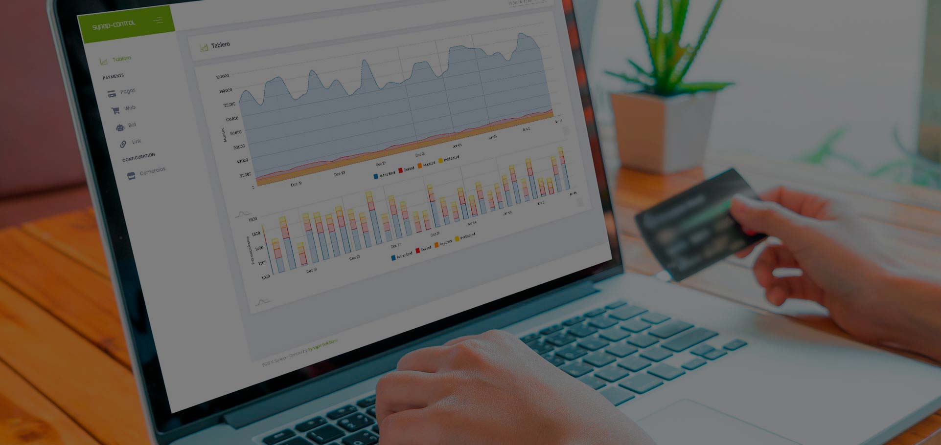 Synapsis | Plataforma de Pagos y más